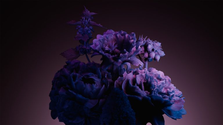 WGSN x Coloro Announced the Key Colors for Autumn/Winter 24/25 ...