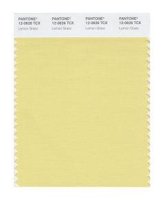 Pantone Fashion Color Trend Report Autumn/Winter 2025/2026 for New York ...